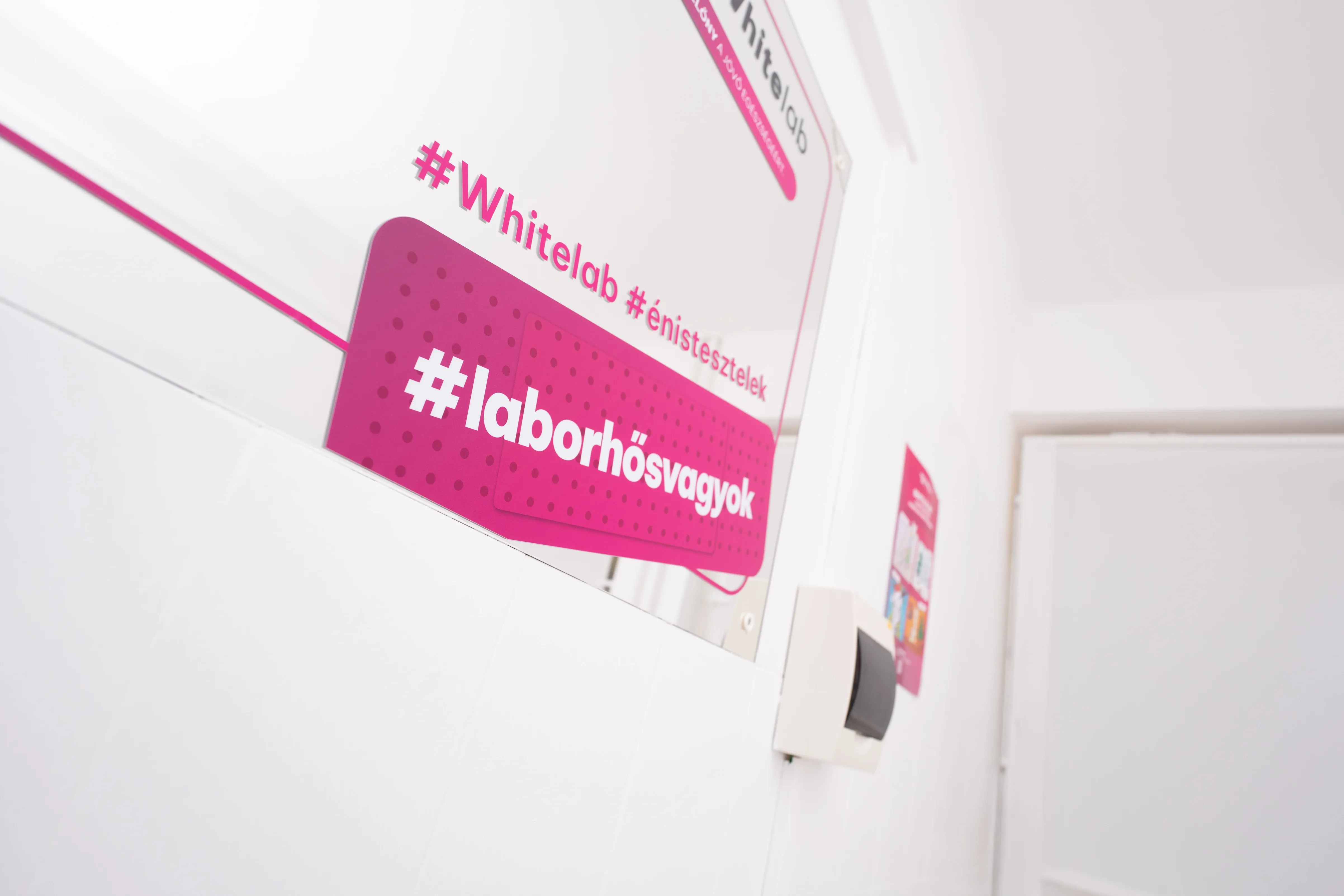 Laborvizsgálatok, szűrővizsgálatok – Debrecen | WhiteLab