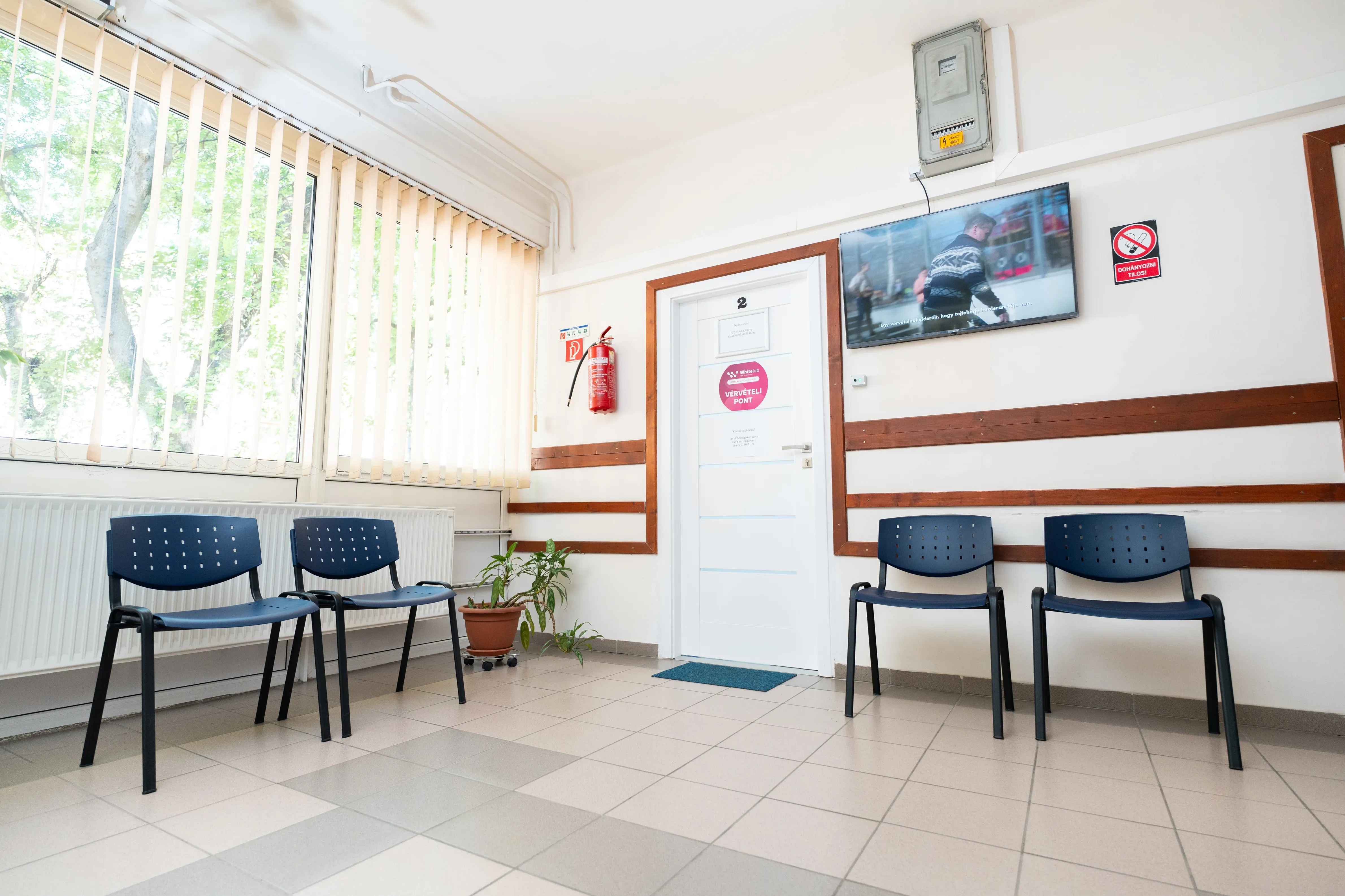 Laborvizsgálatok, szűrővizsgálatok – Debrecen | WhiteLab